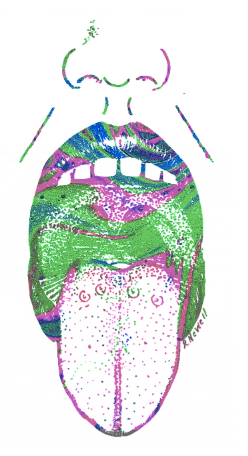 Mallampati Classification – 5minuteairway